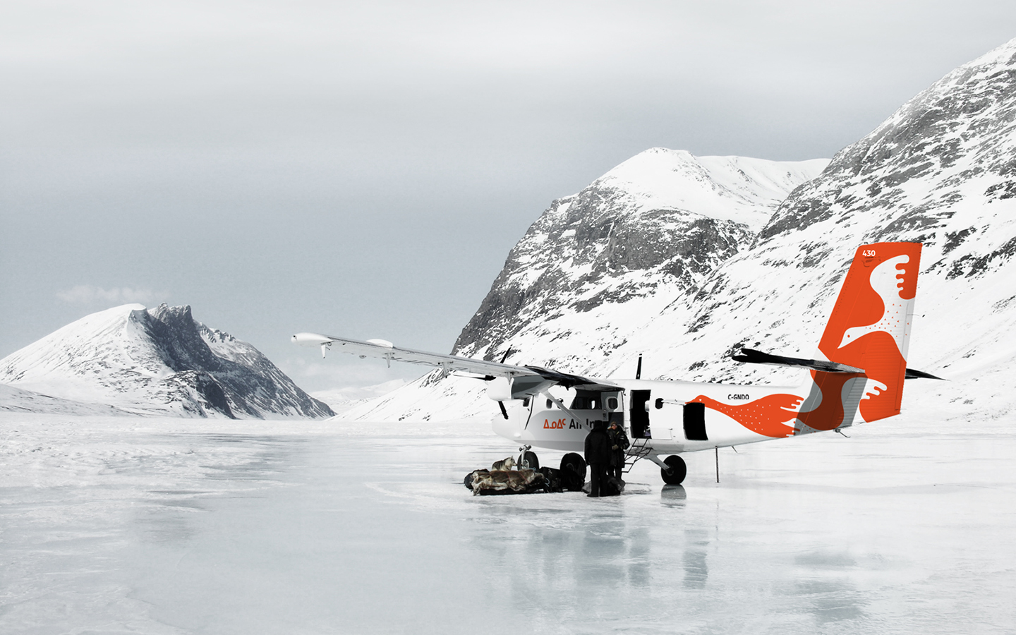 TheDesignAir –A Beautiful Canadian Goose Spreads Its Wings