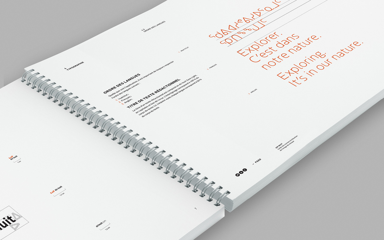 TheDesignAir –A Beautiful Canadian Goose Spreads Its Wings