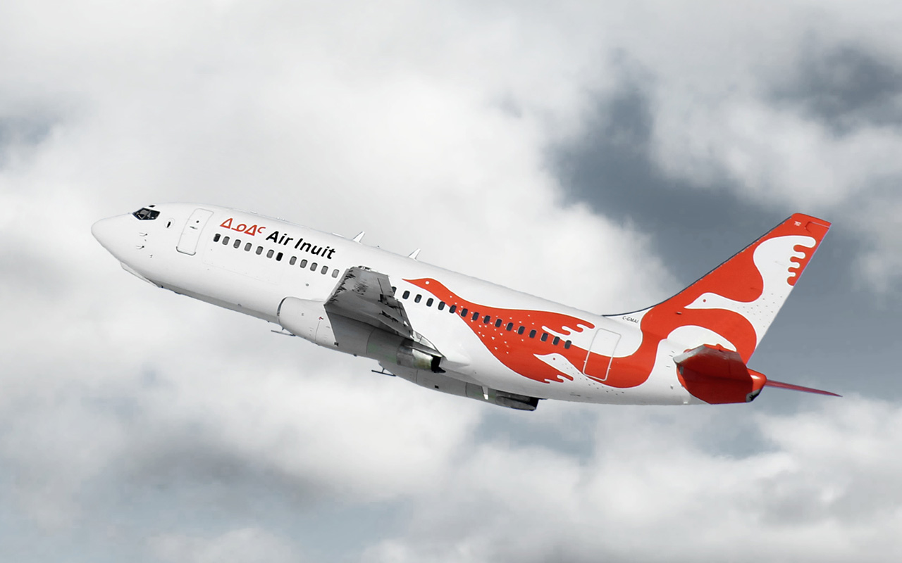 TheDesignAir –A Beautiful Canadian Goose Spreads Its Wings