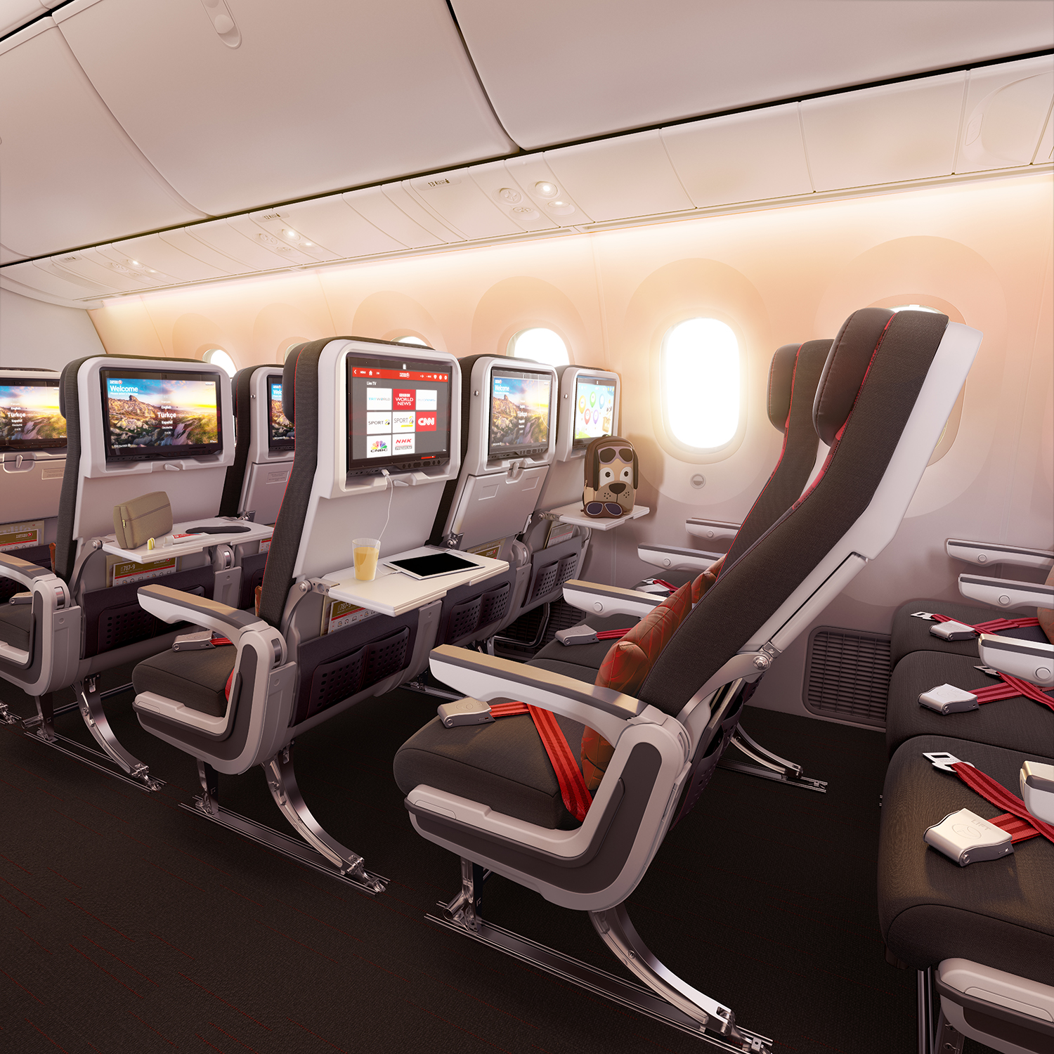 TheDesignAir –THY_B787_ECL_Cam_002_Seat_OV_Rev10_001